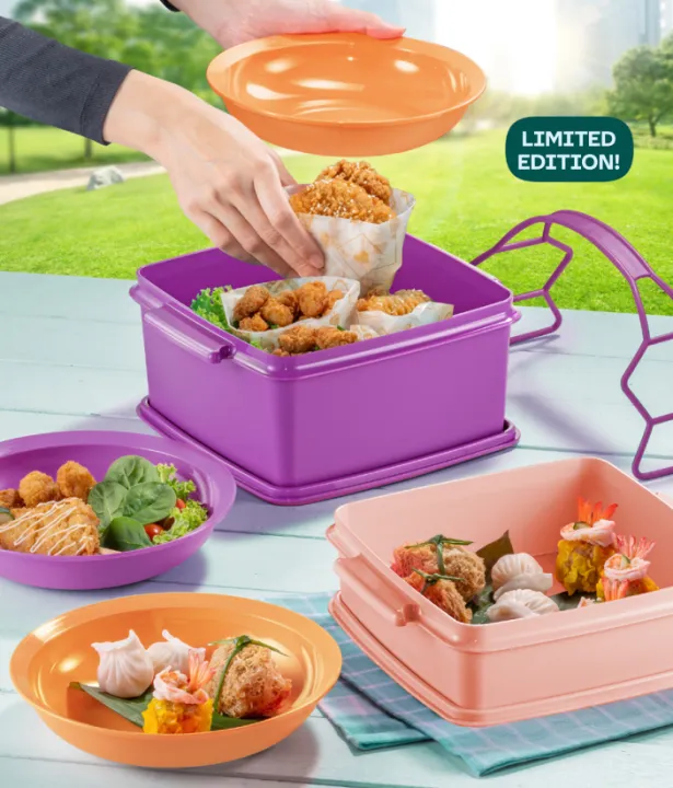 Tupperware Jumbo Goody Box With Cariolier - 2.0L / 4.0L | Lazada