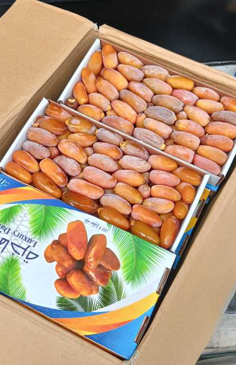 Kurma Ruthob Libya Amira 1kg Fresh Dates Ruthab 1 kg / Kurma muda 1kg ...