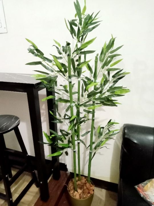 Artificial single long stem bamboo tree (150cm/60inch) | Lazada PH