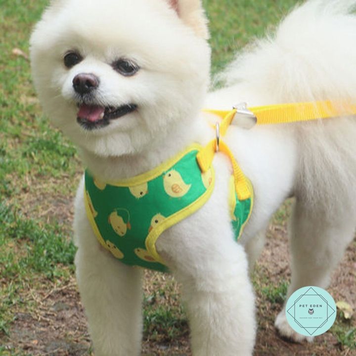 Fancy Harness สายจูงสัตว์เลี้ยง เสื้อสายจูง สายจูงหมา สายจูงแมว เสื้อ ...