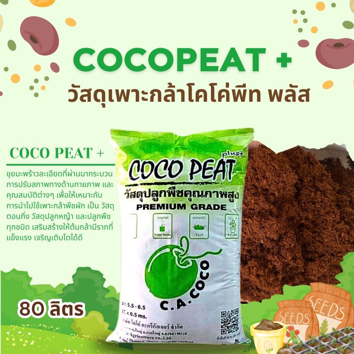 วัสดุเพาะกล้า COCO PEAT ขนาด 80 ลิตร **จำกัดการสั่งซื้อ2กระสอบต่ออเดอร์*** | Lazada.co.th