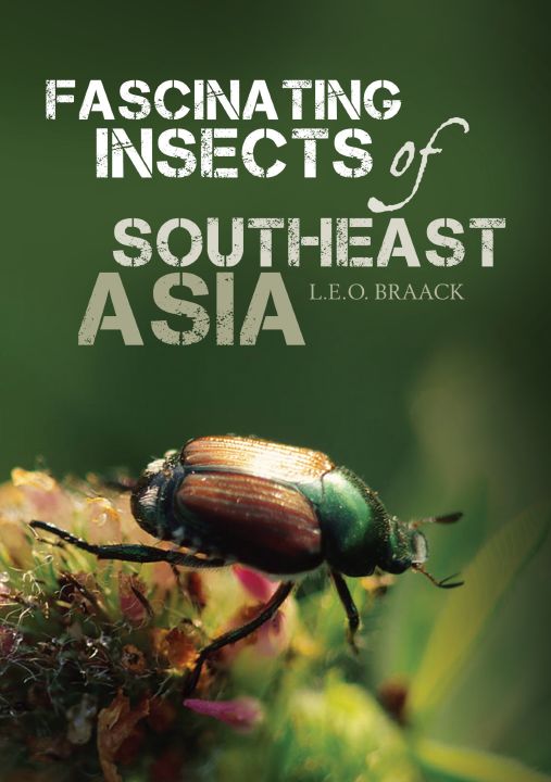 หนังสือใหม่ FASCINATING INSECTS OF SOUTHEAST ASIA | Lazada.co.th