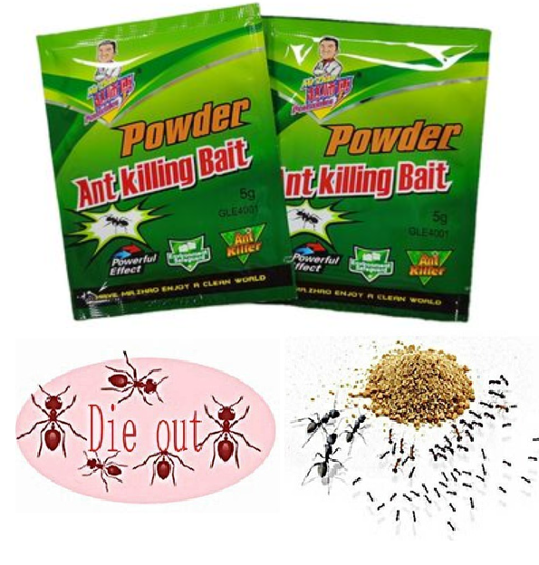 STNDRD Original 1pc Effective Ant killing Bait Powder Insect Killer ...