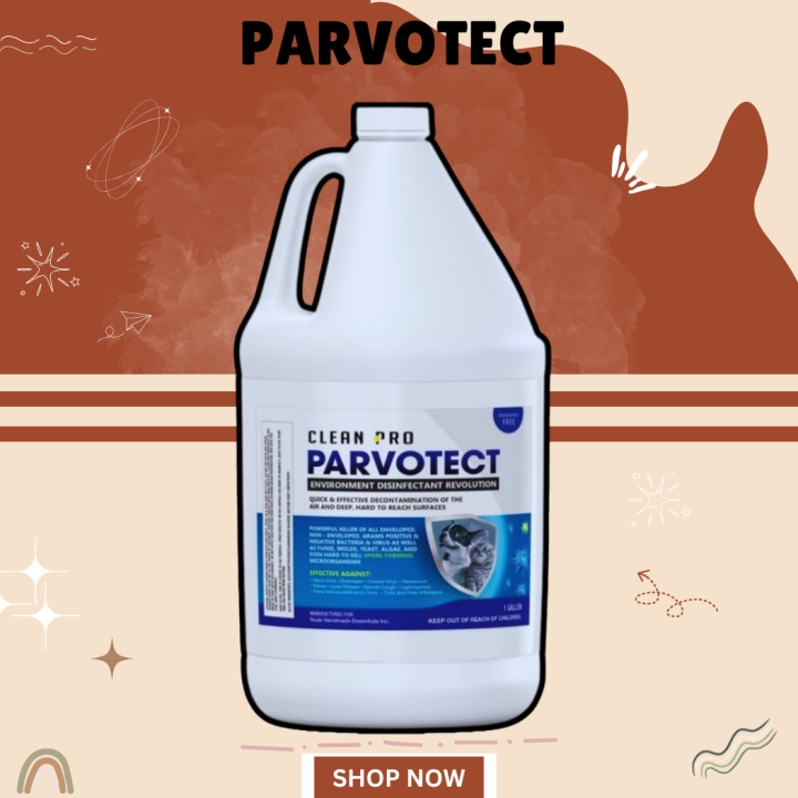 PARVOTECT 1gal | Eliminates Bad Odor | Parvo Virus Protect Disinfectant ...