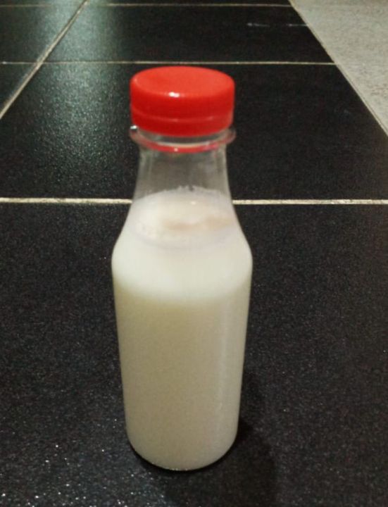 Botol SN 250 mil 1 Bal isi [ 75 pcs ] Botol Milky 250 mil Botol Plastik ...