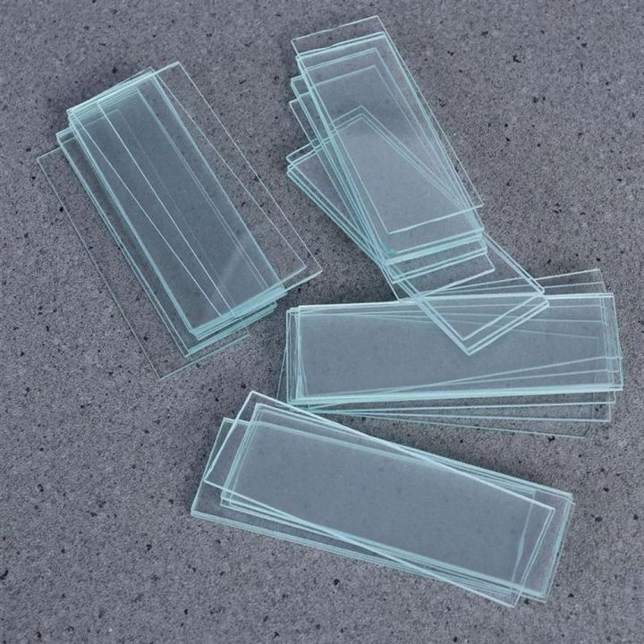 Educational Supplies Laboratory Sample Transparent Slides for Specimen ...