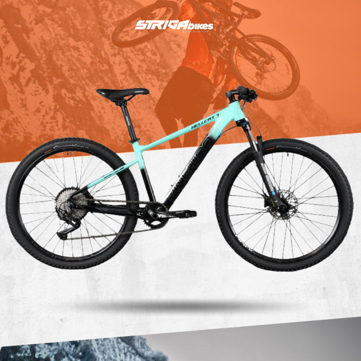 Pinewood Hellcat 7 29er MTB | Lazada PH