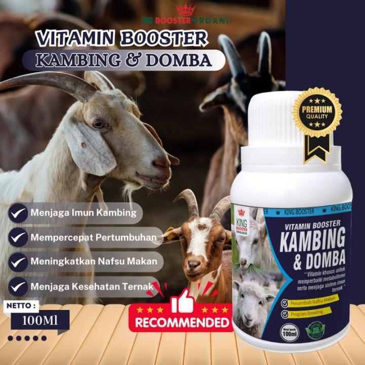 Vitamin Booster Penggemuk Kambing & DOMBA Vitamin Hewan Ternak Aman ...