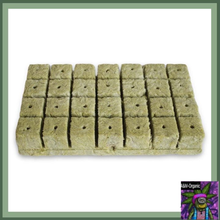 [สินค้าพร้อมจัดส่ง]⭐⭐Rockwool Cube ก้อนใยหินสำหรับเพาะปลูกต้นกล้า เพาะ ...