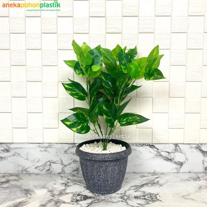 Pohon Daun Sri Gading Hijau Artificial Pot Ember Batu Alam Vas Plastik ...