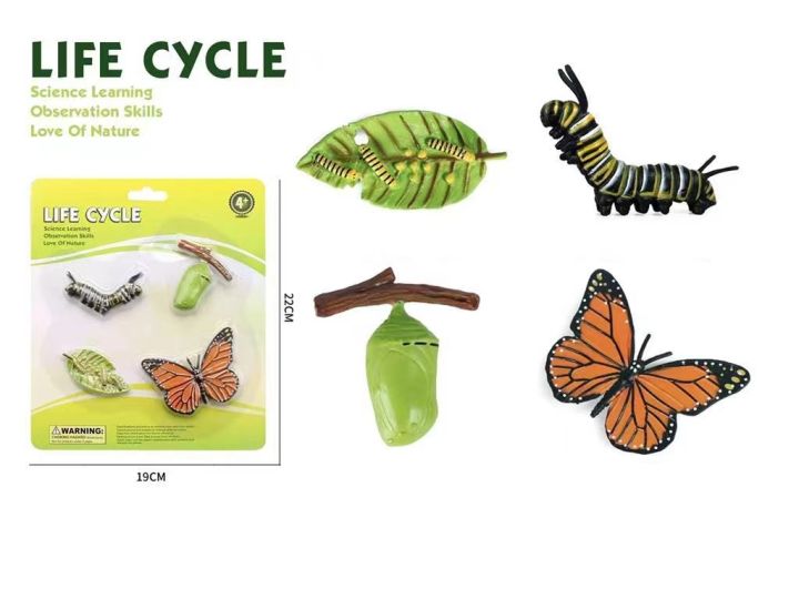 Teaching Resources Life Cycle of Butterfly Models | Lazada Singapore Teaching Resources Life Cycle of Butterfly Models | Lazada Singapore