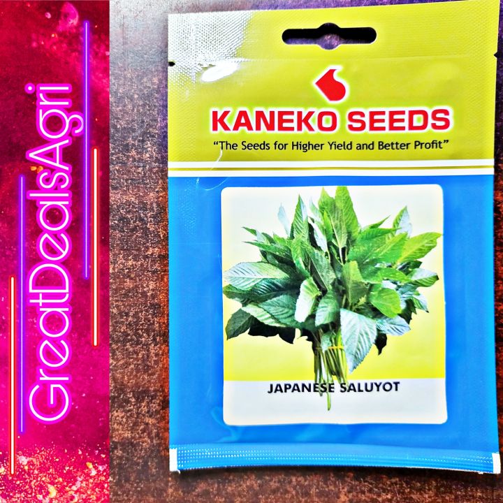 JAPANESE SALUYOT SEEDS (1067 SEEDS) KANEKO SEEDS | Lazada PH