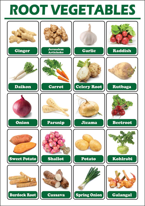 Root Crops Real Pics Educational Chart - A4 Size Poster - Waterproof ...