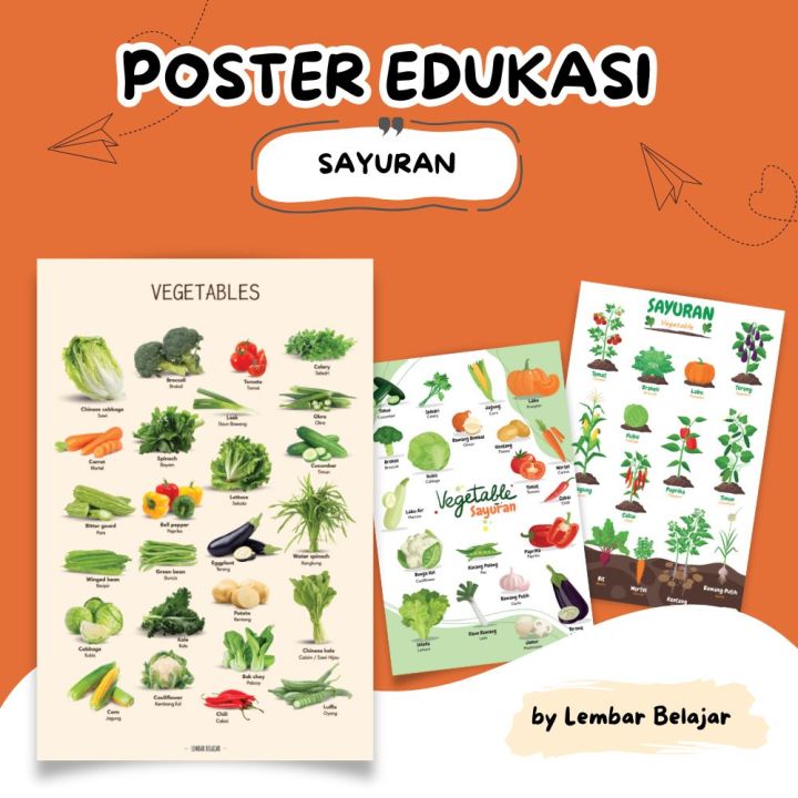 Lembar Belajar Poster Edukasi Sayuran - Poster Belajar Sayura Mayur ...