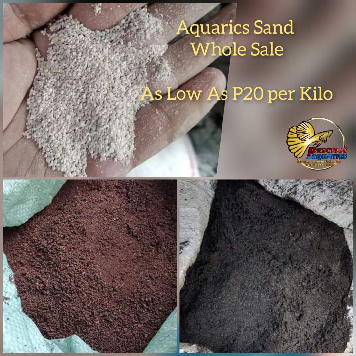 Sand for Aquarium(20Pessos Per Kilo) | Lazada PH