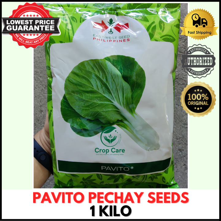 EAST-WEST SEEDS - PECHAY SEEDS - PAVITO 1 KILO | Lazada PH