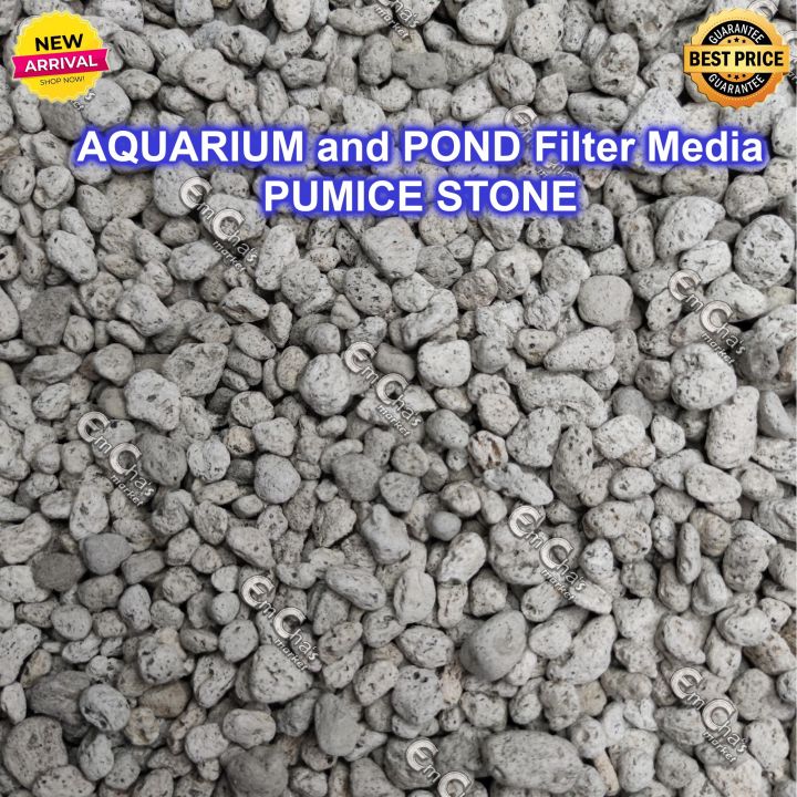 1kg Natural Pumice Stone Aquarium FIlter Media for Aquarium Filtration ...