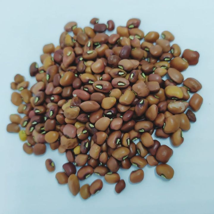 Red Mung Beans / Red Monggo / Indian Red Mung Beans - 100grams ...