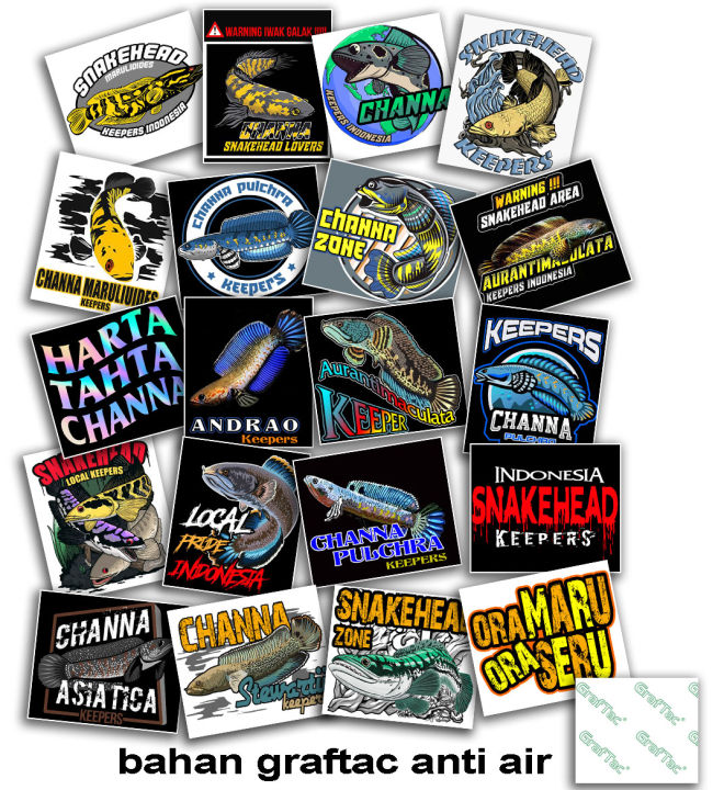 sticker channa isi 20 stiker chana stiker ikan gabus sticker snakehead ...