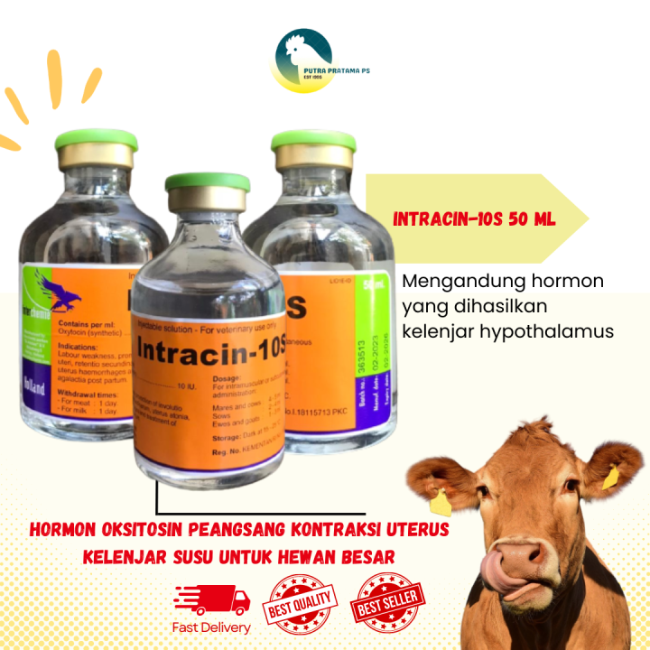 INTRACIN 10S 50 ml Mengandung Hormon Oksitosin untuk Merangsang ...