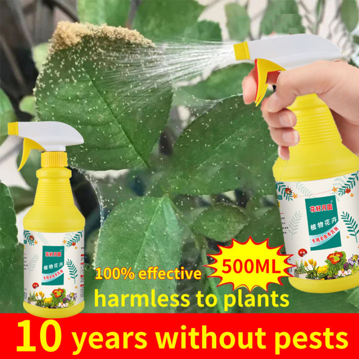 Plant organic insecticide 500ML (does not harm plants. Green organic ...