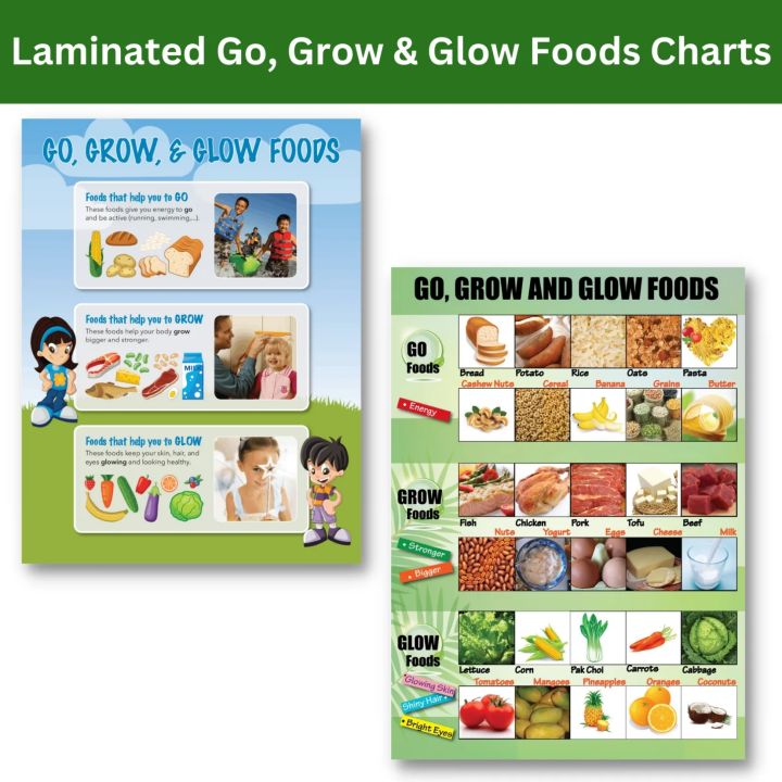 Laminated Go, Grow, Glow Foods Chart for Kids, Learners and Teachers ...