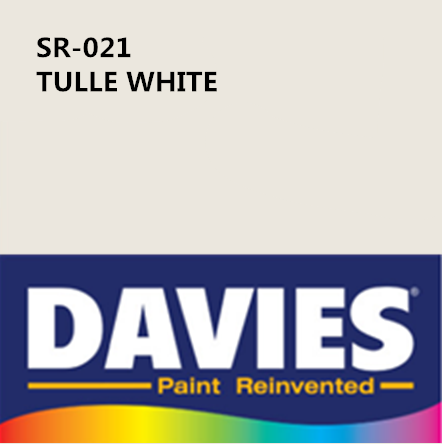 SR-021 DAVIES 1L TULLE WHITE | Lazada PH
