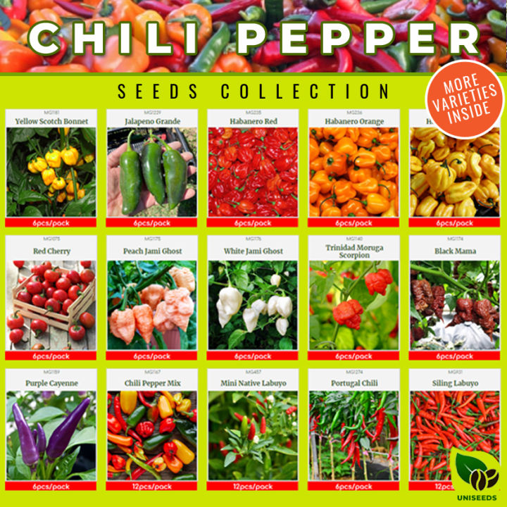 Hot Pepper Seeds Collection - Chili Pepper Seeds - Habanero, Jalapeno ...