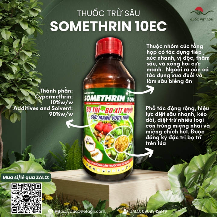 Thuốc trừ sâu SOMETHRIN 10EC (chai 1 LÍT) - Cypermethrin 10%w/w Trị bọ trĩ, bọ xít muỗi | Lazada.vn