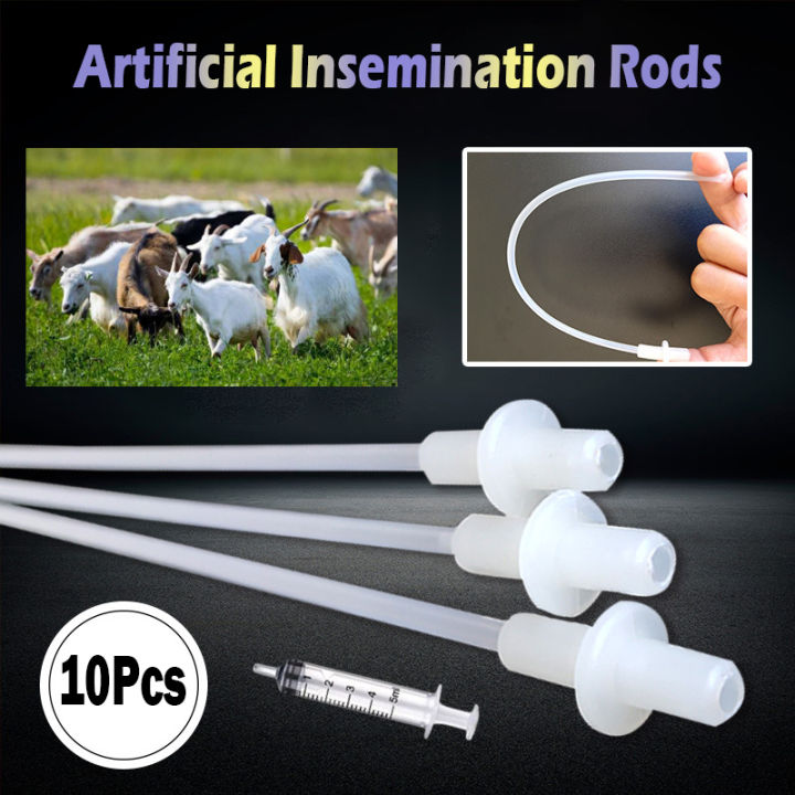 Artificial Insemination Kit Disposable Dog A.I. Catheter Farm Animal ...