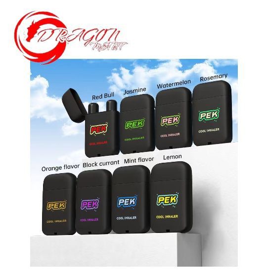 DRAGONMART PEK Inhaler Double Hole Inahaler Vital Oil Energy Bar Cool ...