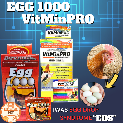 [APS] 1 SACHET EGG 1000 / 1 SACHET VITMINPRO / EGG ENHANCER / HEALTH ...
