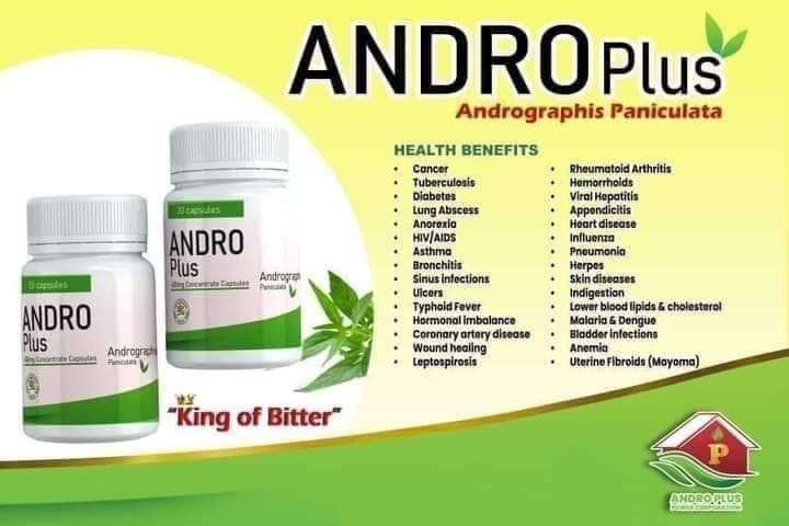 ANDRO PLUS SCIENTIFIC NAME ANDROGRAPHIS PANICULATA THE KING OF BITTER ...