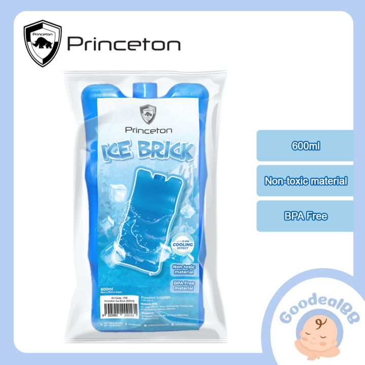 Princeton Reusable Ice Brick / Ice Pack 600ml For Cooler, Breastmilk ...