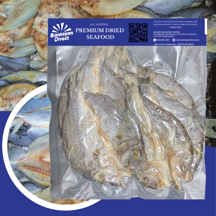 250g Katambak Dried Fish - Bantayan Island Cebu Dried Fish | Lazada PH