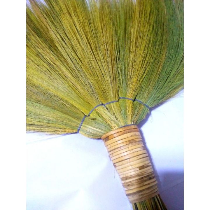 practical 5 Fingers Baguio Soft Broom/ Walis Tambo | Lazada PH
