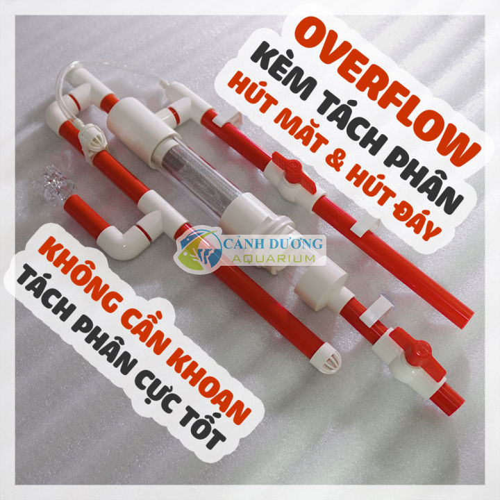 Bộ Overflow kèm tách phân cho hồ cá, hút mặt hút đáy KHÔNG cần khoang ...