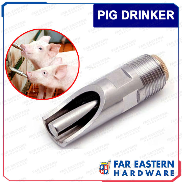 Pig Drinker Stainless Steel | Chrome | Lazada PH