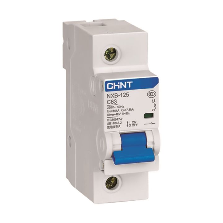 CHINT MCB NXB 125 DZ47 EPN DPN 1P 100A AC 230/400V 80A 125A Circuit Breaker DIN Rail Mounting ...