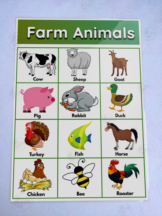 Farm Animals Laminated Educational Chart (A4) Mga Hayop sa Bukid Wall charts for kids | Lazada PH
