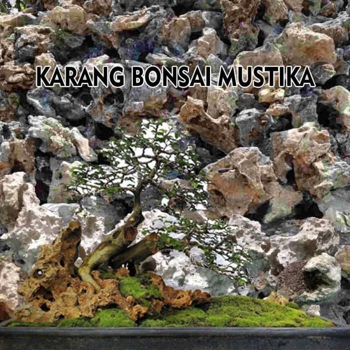 Batu Karang Gunung isi 1 Batu Bonsai Aquascape Medium Minimal 30 cm Up ...