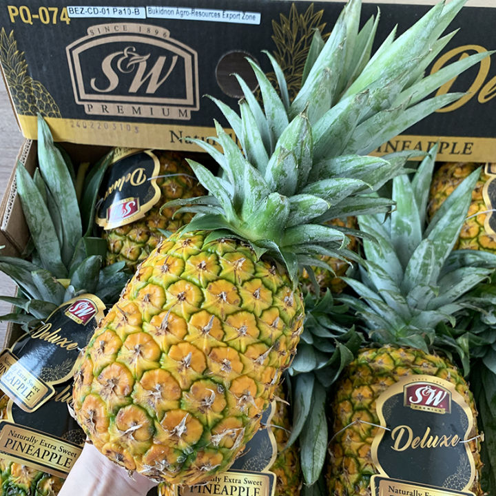 Philippines SW Black Gold Honey Pineapple 2 6 kg Big Fruit Eyeless ...