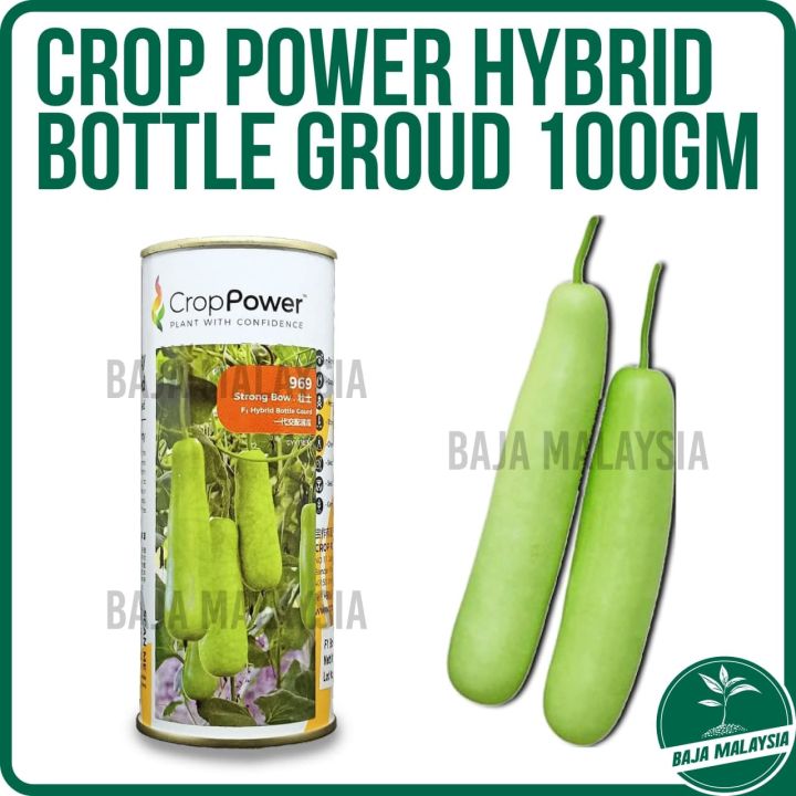 CROP POWER (F1 HYBRID SB969) Bottle Gourd Seeds Biji Benih Labu Air ...