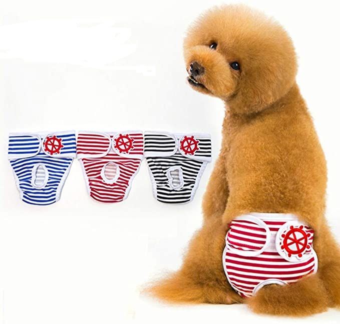 Female Dog Cat Physiological Sanitary Pants Shorts Underwear Washable ...