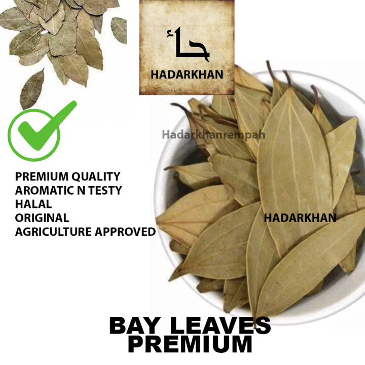 BAY LEAVES 1 KG / BAY LEAF IMPOR 1 KG / DAUN SALAM IMPOR 1 KG | Lazada Indonesia