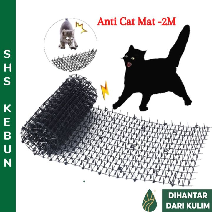 Anti Cat Mat with Spikes 2Mx30CM Pet Deterrent Mat Karpet Berduri ...