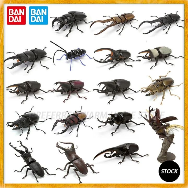 In Stock Bandai Japanese Gashapon Egg Big Biological Map Of Beetle ...