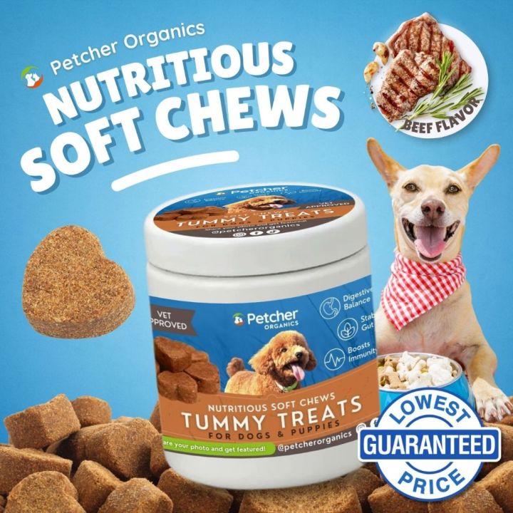 24 Petcher Organics Healthy Tummy Chews Soft Probiotics Dog Treats ...
