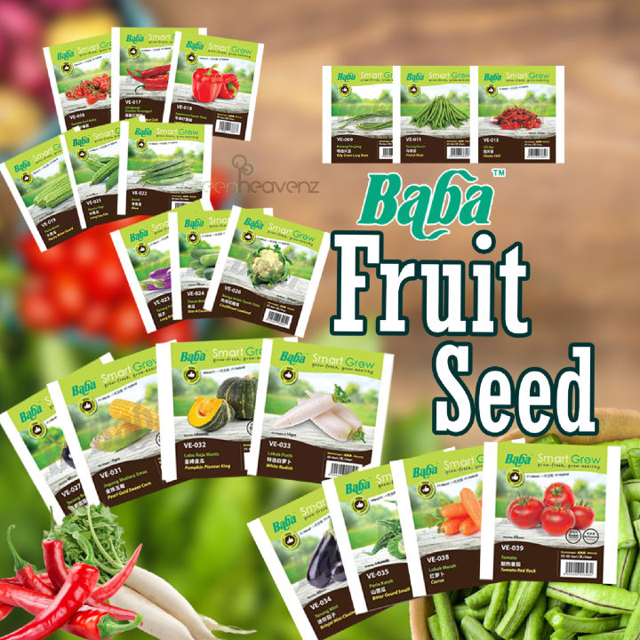 GHZ Baba Seed Fruit Seed Seeds Plant Vegetables Biji Benih Buah Buahan ... GHZ Baba Seed Fruit Seed Seeds Plant Vegetables Biji Benih Buah Buahan ...