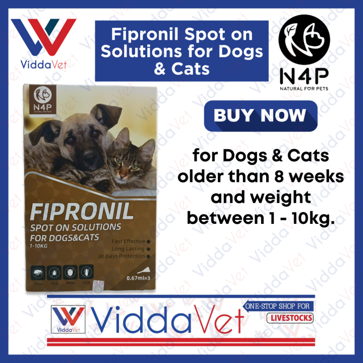 VIDDAVET N4P FIPRONIL SPOT ON SOLUTIONS FOR DOGS AND CATS 1 TO 10KG ...